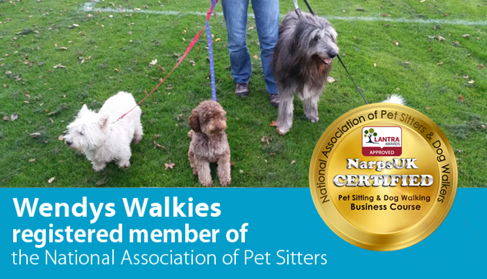 How Much Do People Charge For Dog Walking Uk